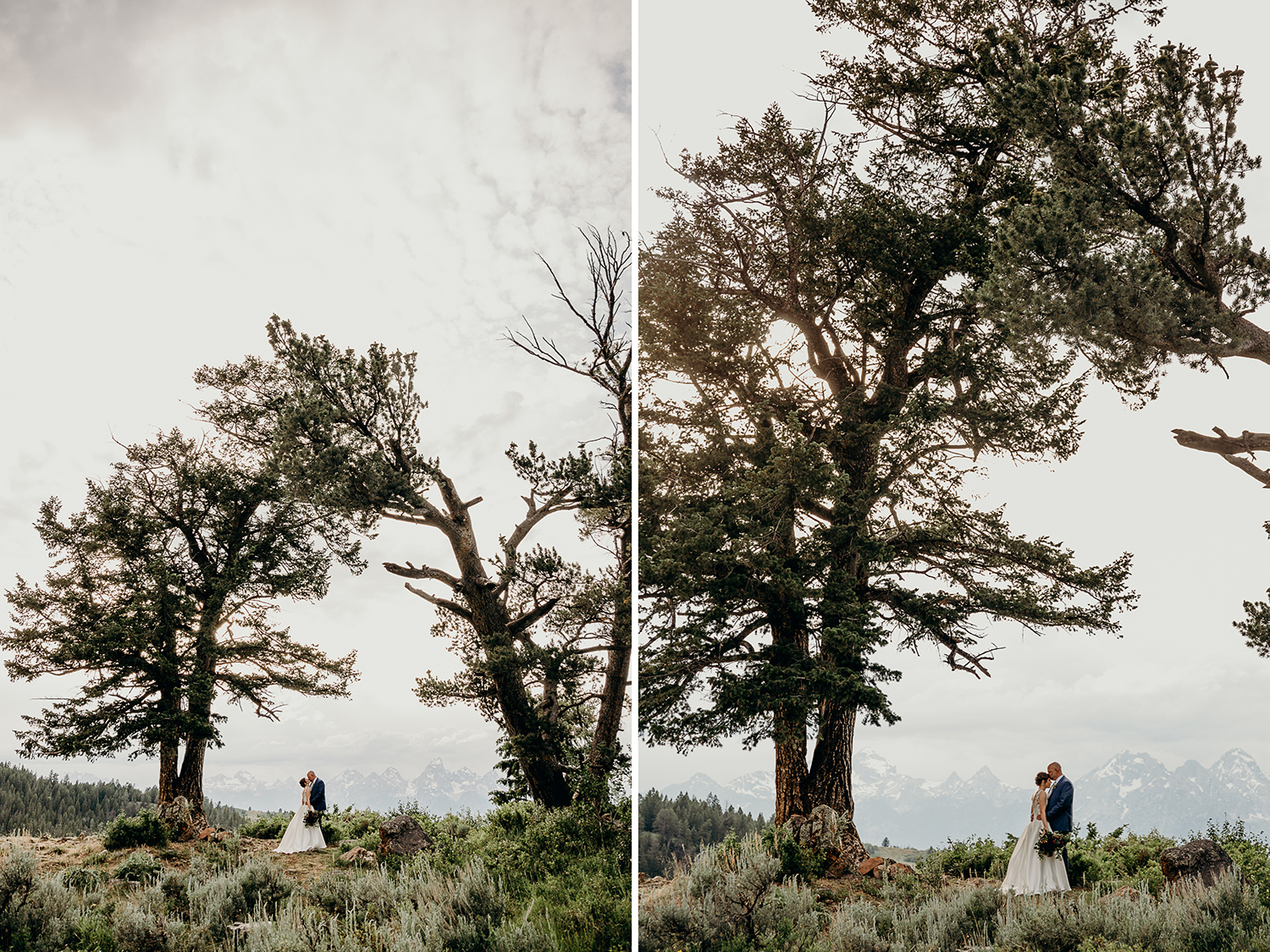 Summer Elopement at The Wedding Tree | Halley & Chris - Erin Wheat Co.