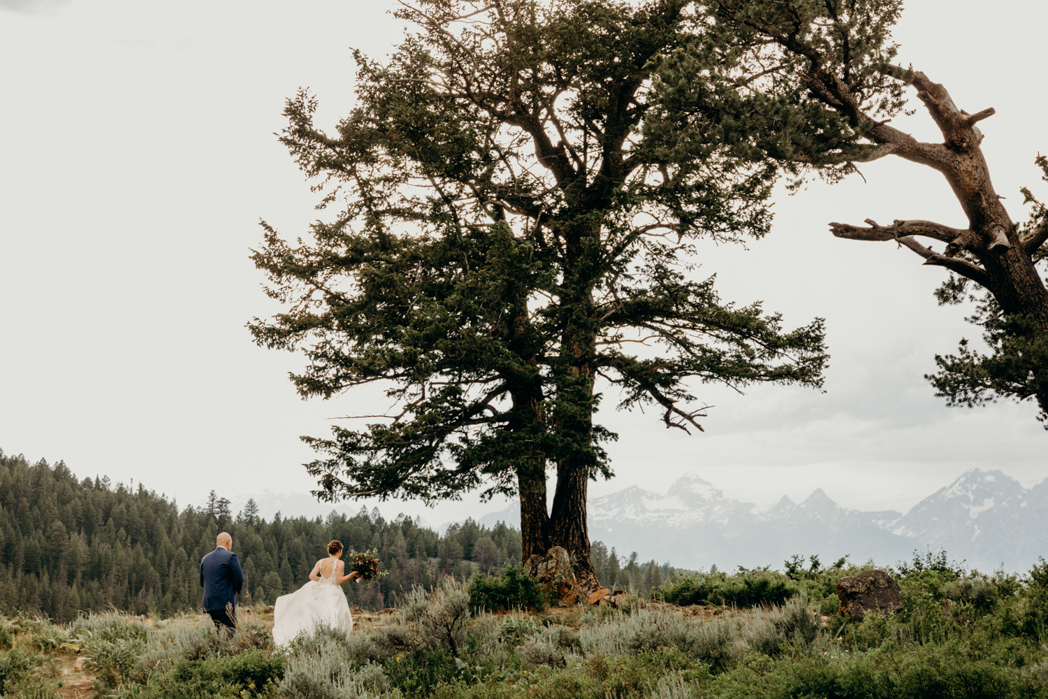 Summer Elopement at The Wedding Tree | Halley & Chris - Erin Wheat Co.