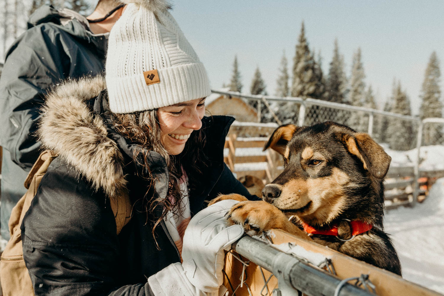Continental Divide Dog Sledding Proposal | Nick & Alli - Erin Wheat Co.