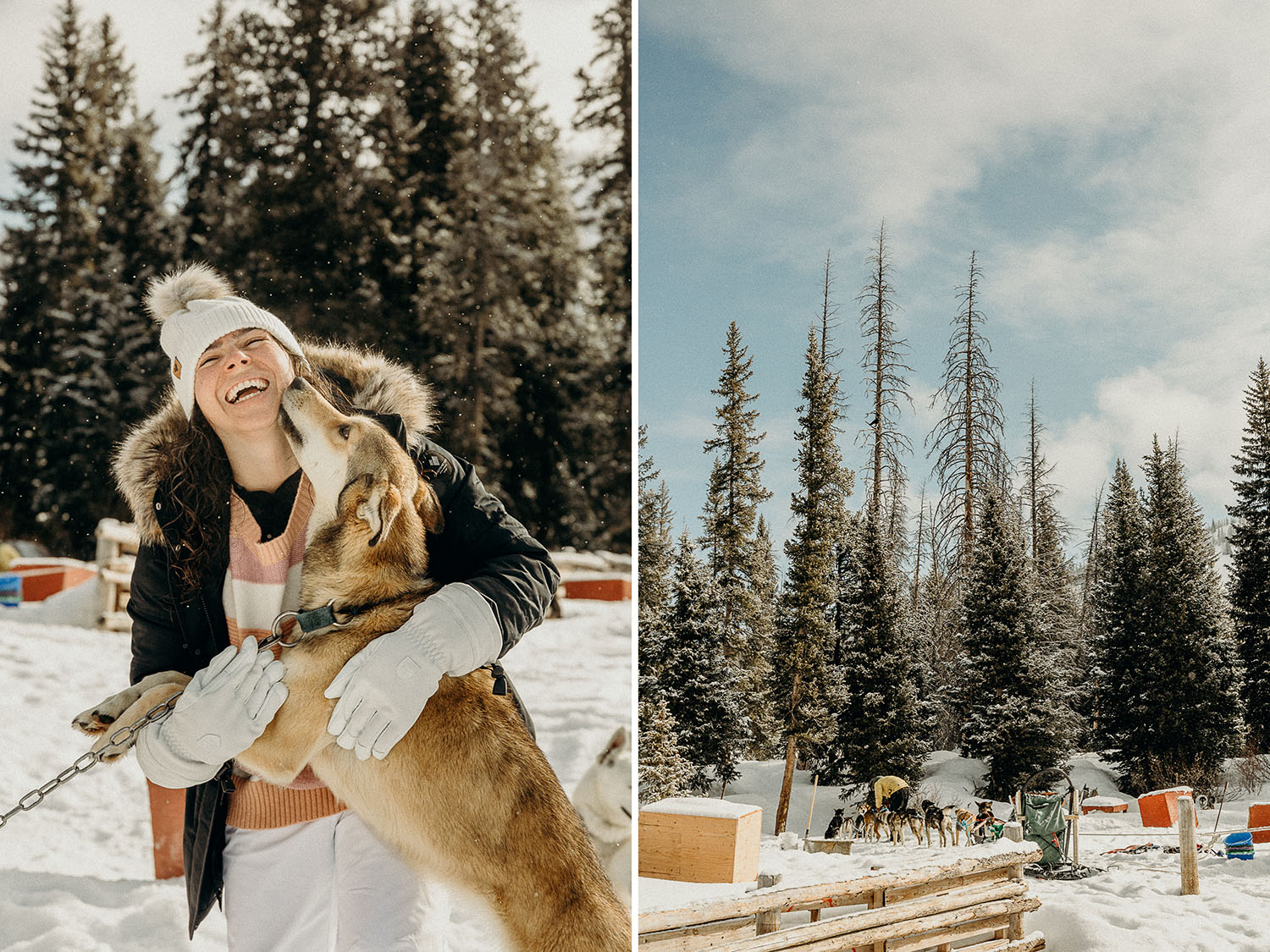 Continental Divide Dog Sledding Proposal | Nick & Alli - Erin Wheat Co.